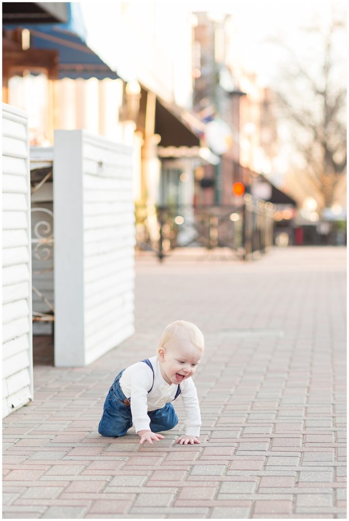 Trevor is One! - 1st Birthday Pictures - rebeccaricephoto.com