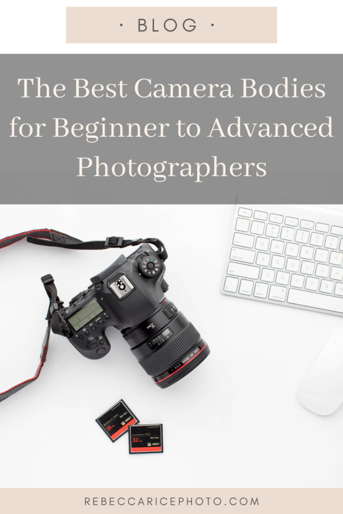 The Best Camera Body | Beginner to Advanced Photographers